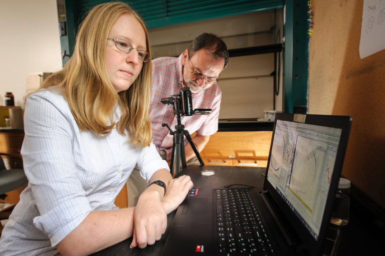 Biology Careers and Jobs – University of Lynchburg
